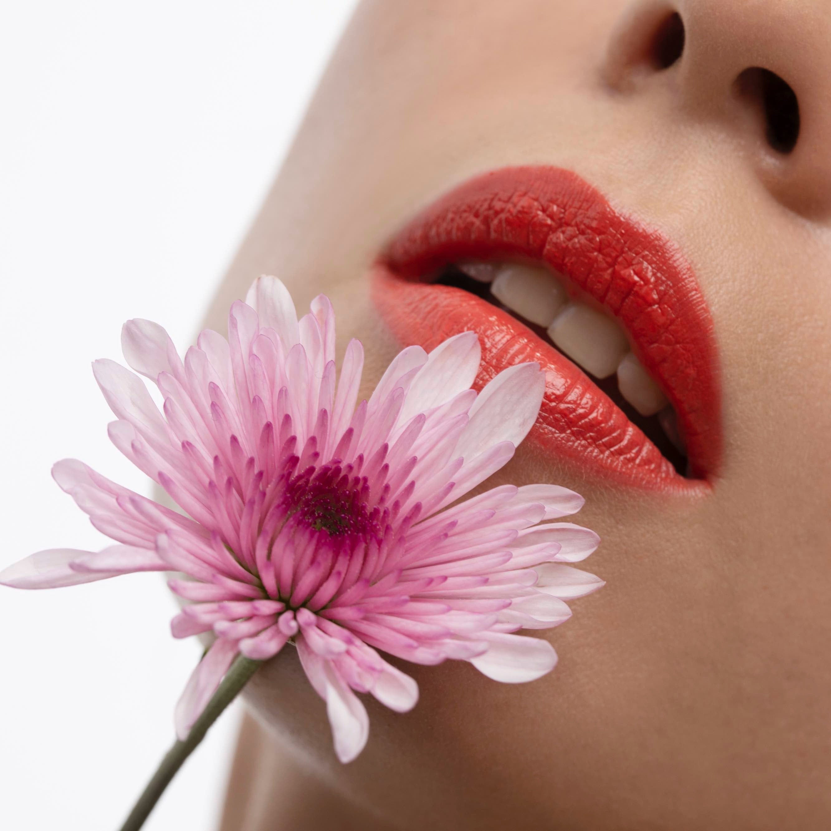 The Olfactory Illusion 💋 – Madame Gabriela Beauty